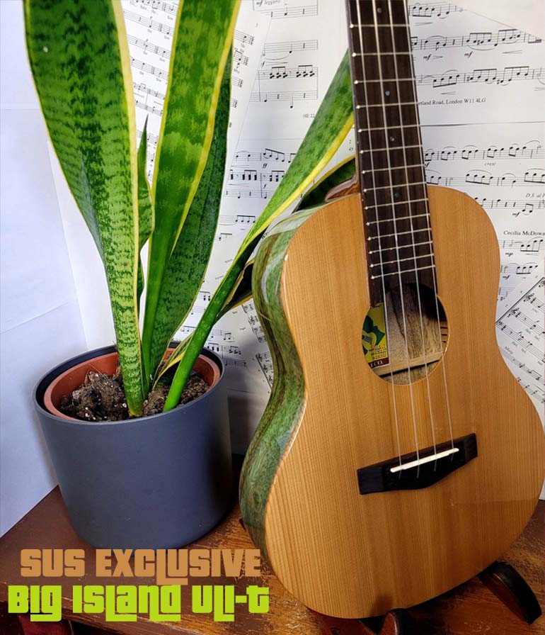 Ukuleles for Sale, Best Online Ukes Shop UK | Southern Ukulele Store