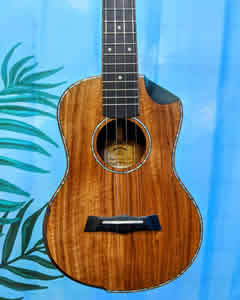 Ukuleles for Sale, Best Online Ukes Shop UK | Southern Ukulele Store