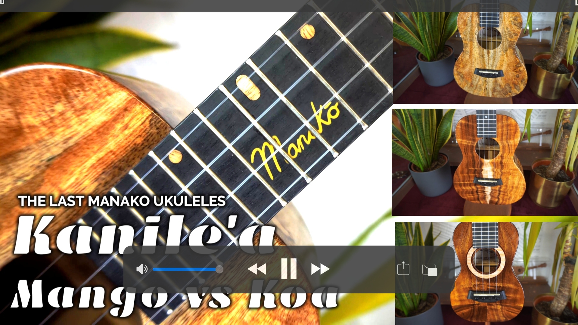 Ukuleles for Sale, Best Online Ukes Shop UK | Southern Ukulele Store